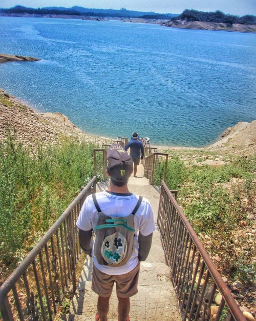 Pong Dam - Himachal Photo Gallery