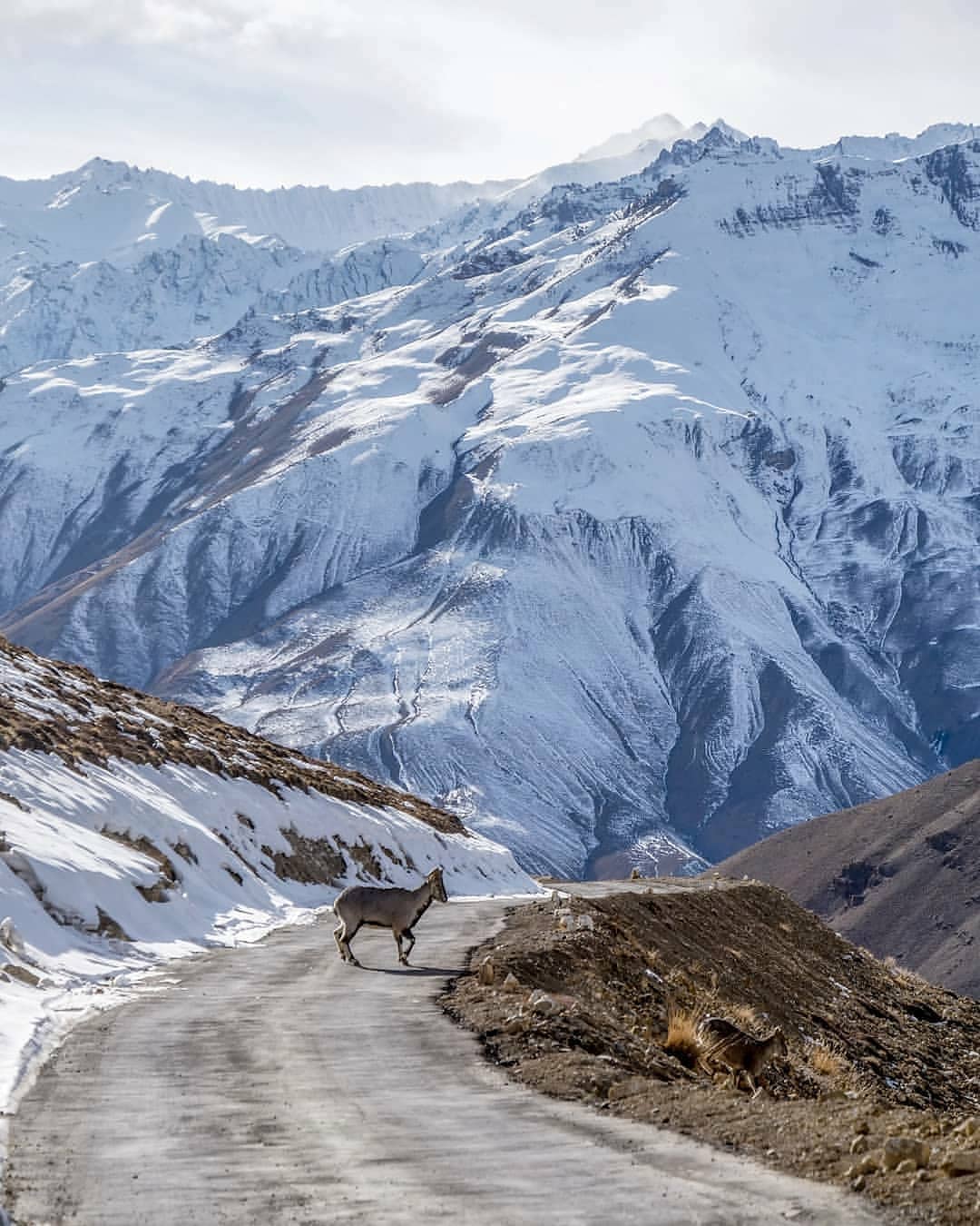 Kaza, Himachal Pradesh - Himachal Photo Gallery